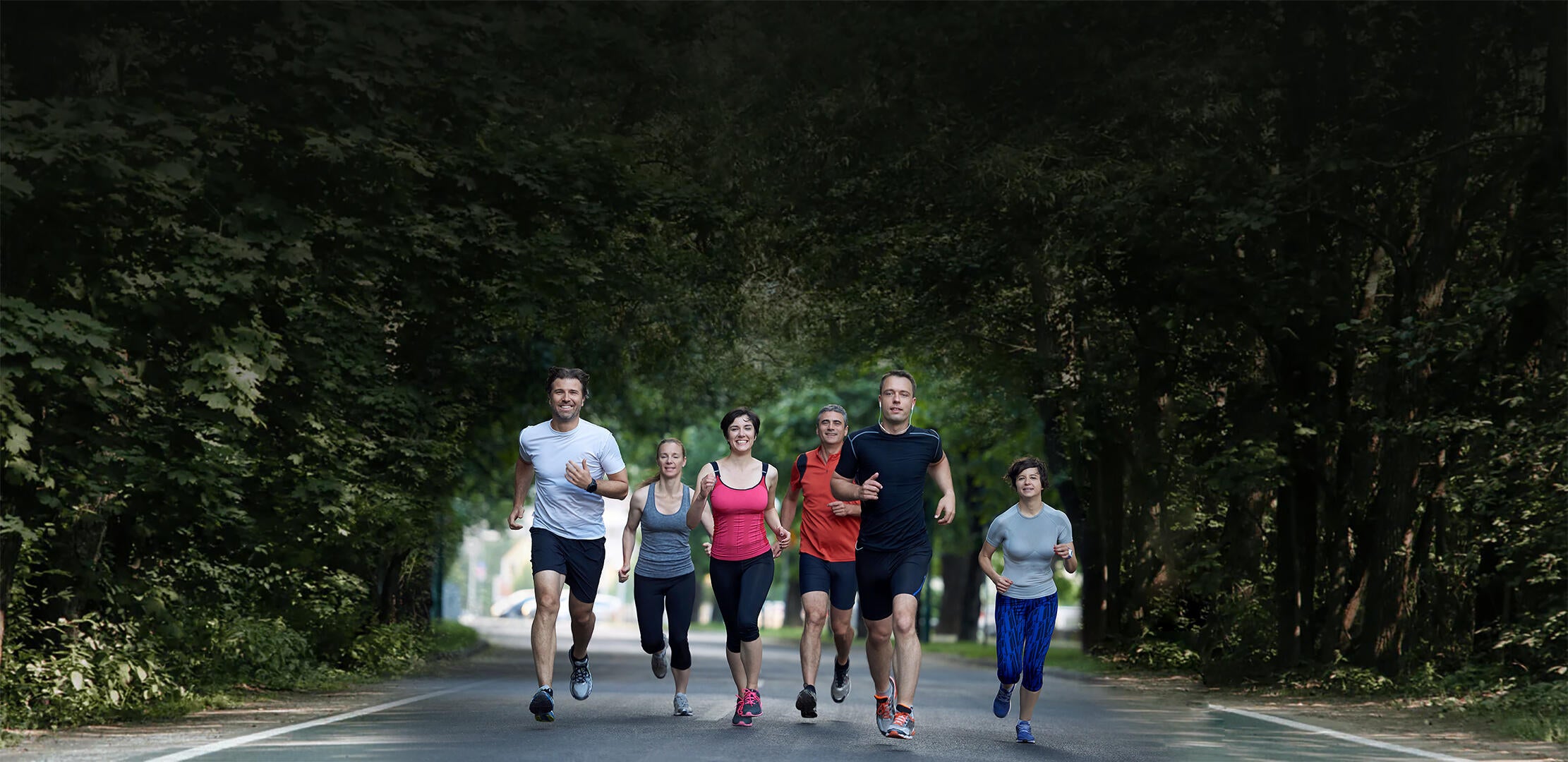 #1 Gut microbiome Analysis in canada - Gutcheck – Gutcheck - Healthy ...